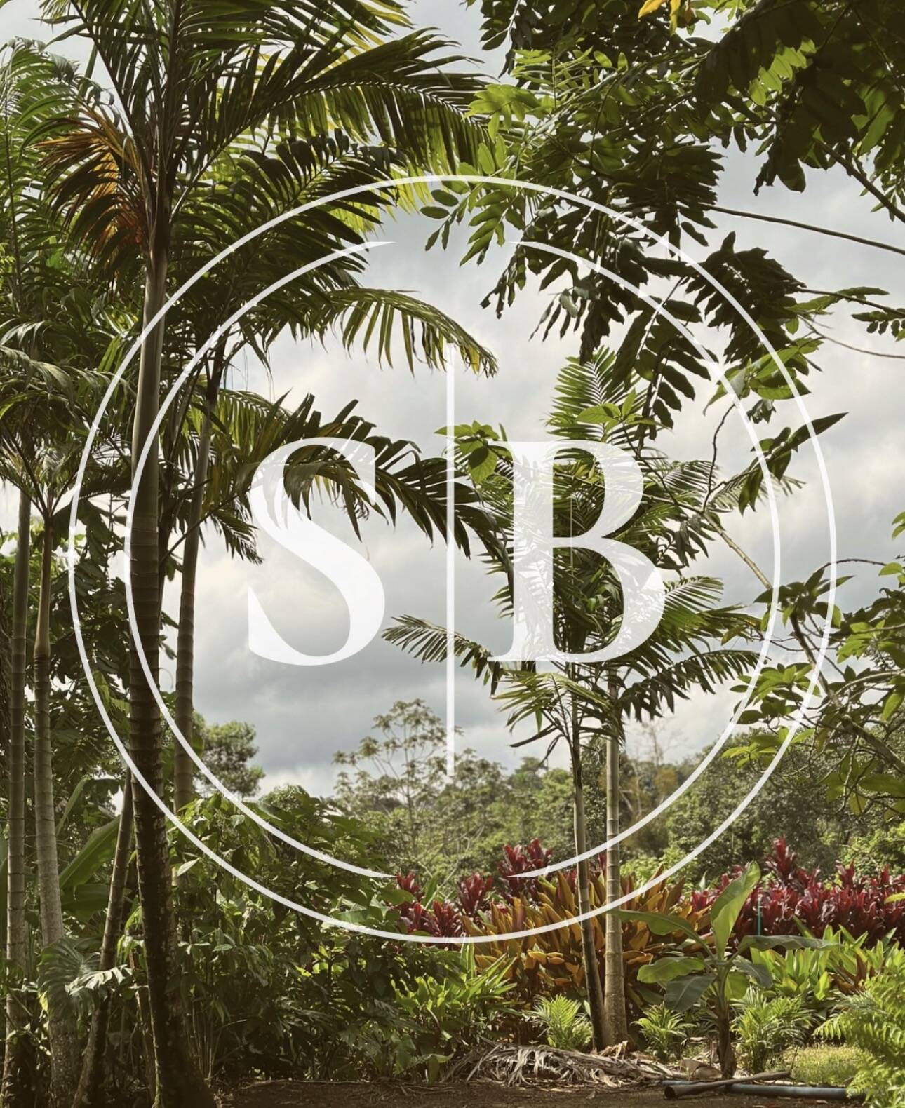 The Shop | SB Trading Co | Curated Home & Lifestyle Shop